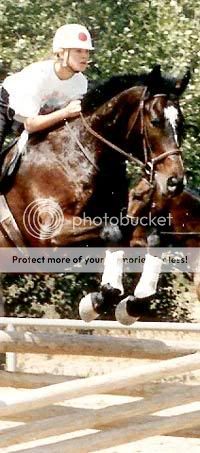 equisports unlimited is a dream come true for annett demma and her ...