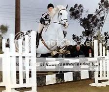 no saddles or bridles niki has begun wire training with horton a 17 ...