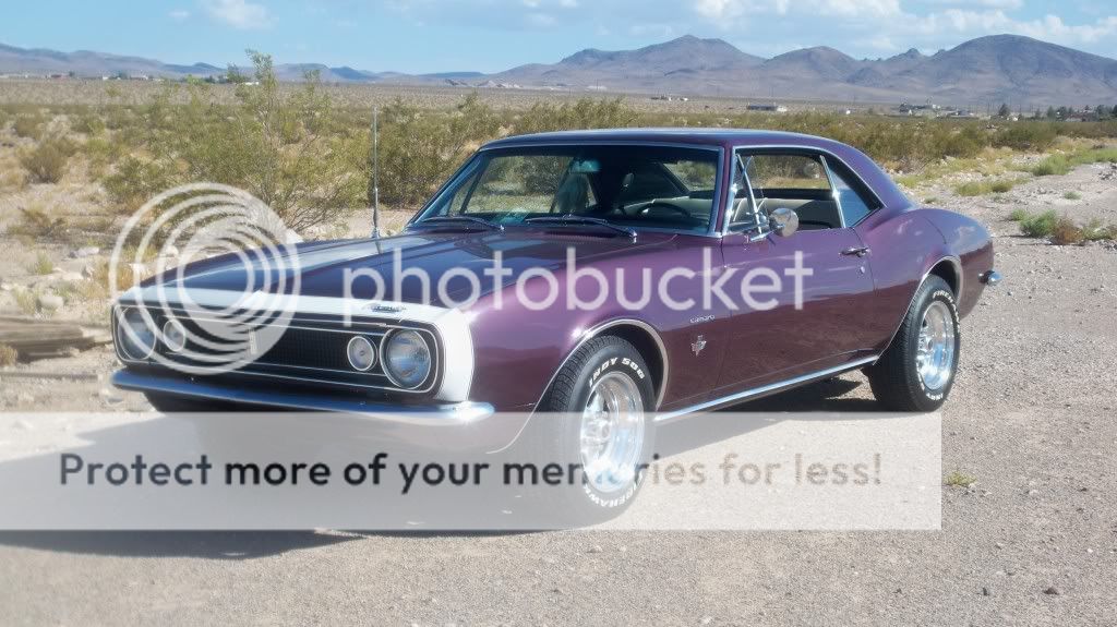 royal plum paint code - Team Camaro Tech