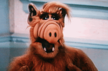 Alf Animated Gifs | Photobucket