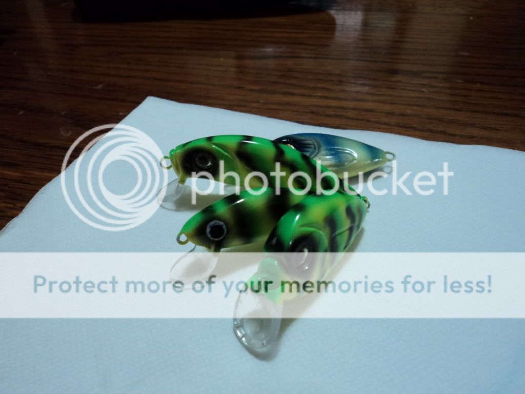 The family perch,piranha shad e swim shad